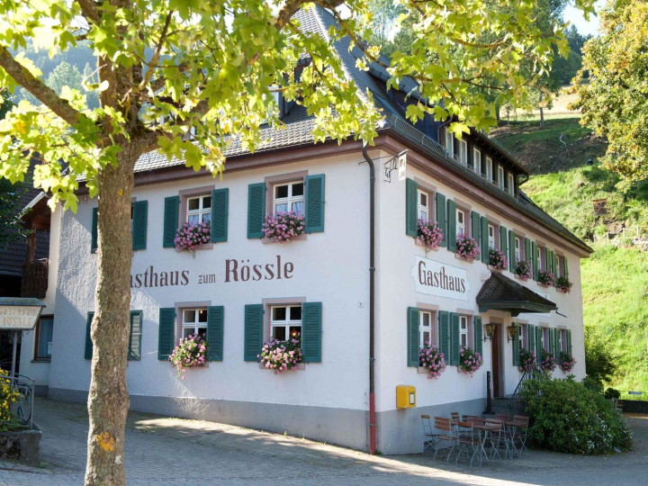 Gasthaus Zum Rössle - Fribourg-en-Brisgau
