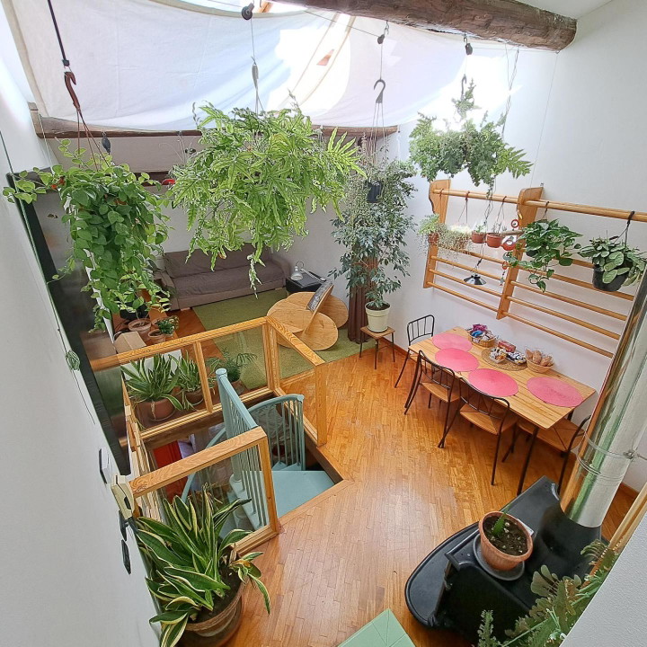 La Casa Verde Nel Centro Storico - Livorno