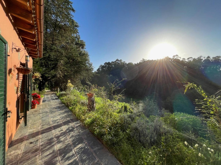 Finca El Lance Zumacal - Gran Canaria
