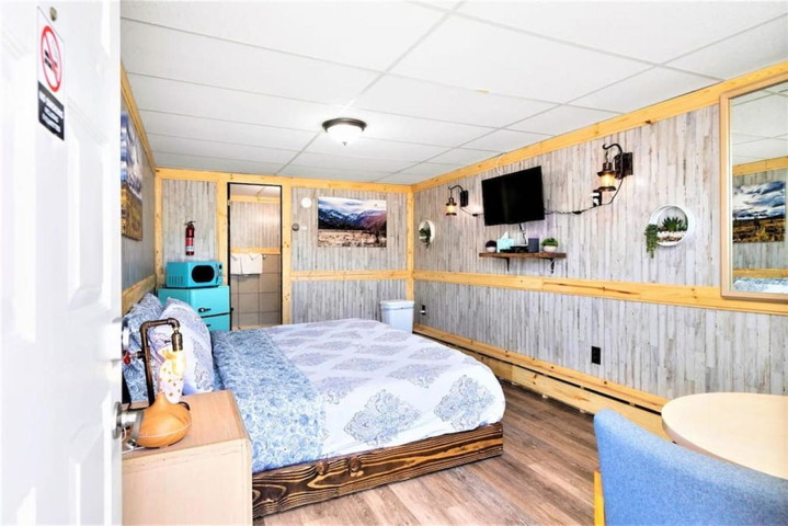 9 Newly Renovated Dog Friendly Room Leadville - Leadville, CO