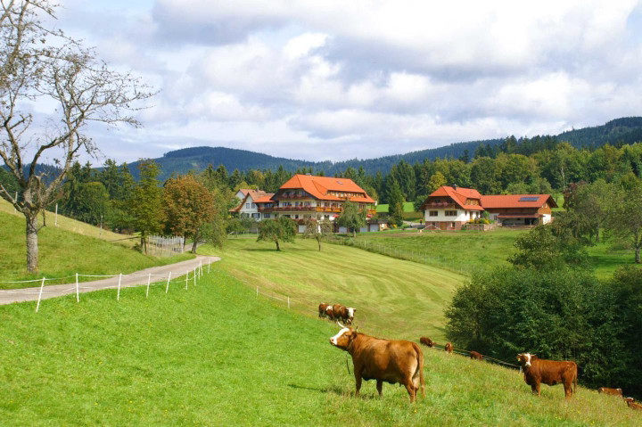 Hotel Zum Breitenberg - Oppenau