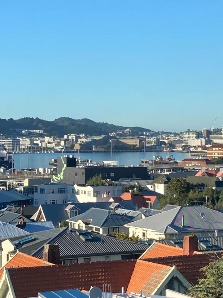 Close To City, Ferry With Great Views And Free Park - Wellington, New Zealand