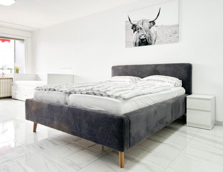 Modernes Apartment Mit Stil In City Lage - Karlsruhe