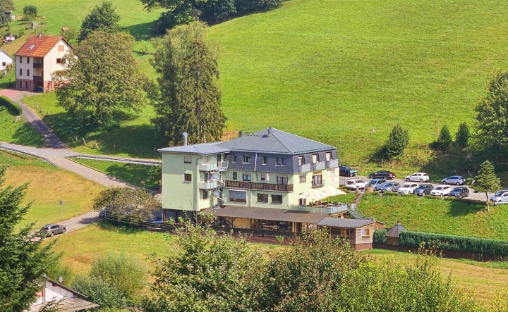 Hotel Grüner Baum Mit Restaurant & Wellness - Neckarsteinach