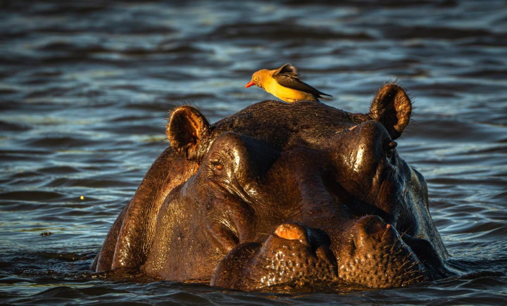 Nyime Safari Lodge Campsite - Namibia
