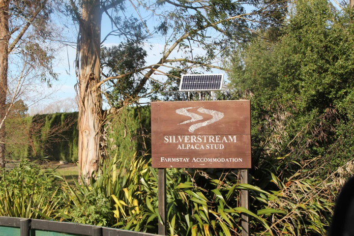 Silverstream Alpaca Farmstay & Tour - New Zealand