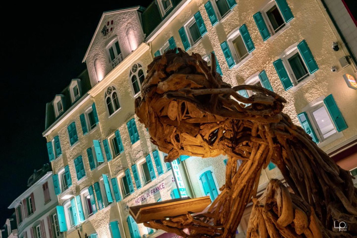 Hôtel De France Contact-hôtel - Bernex