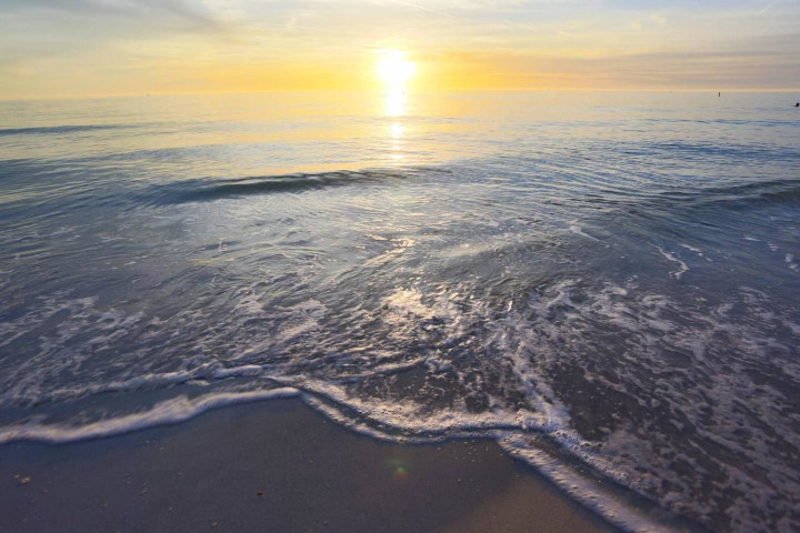 6 - Silver Sands - Drift - Treasure Island, FL