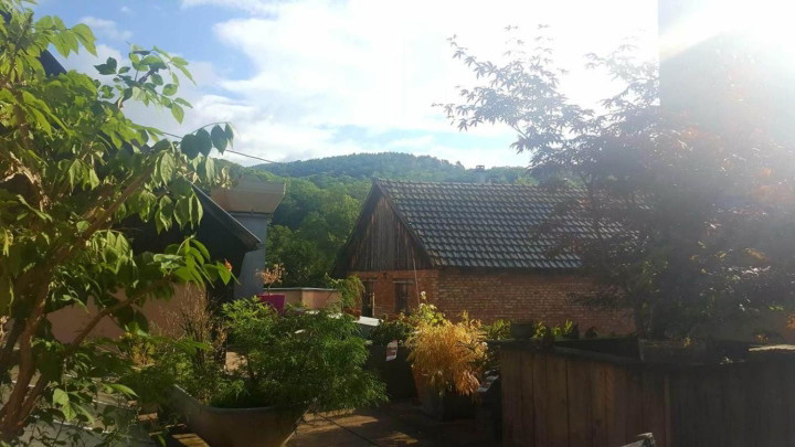 "Côté Nature", Appartement Cosy Avec Terrasse Au Cœur De Munster - Alsacia