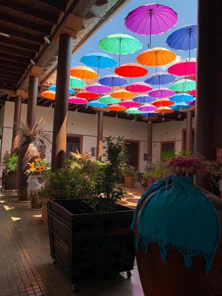 Hotel Villa De Flores - Jalisco
