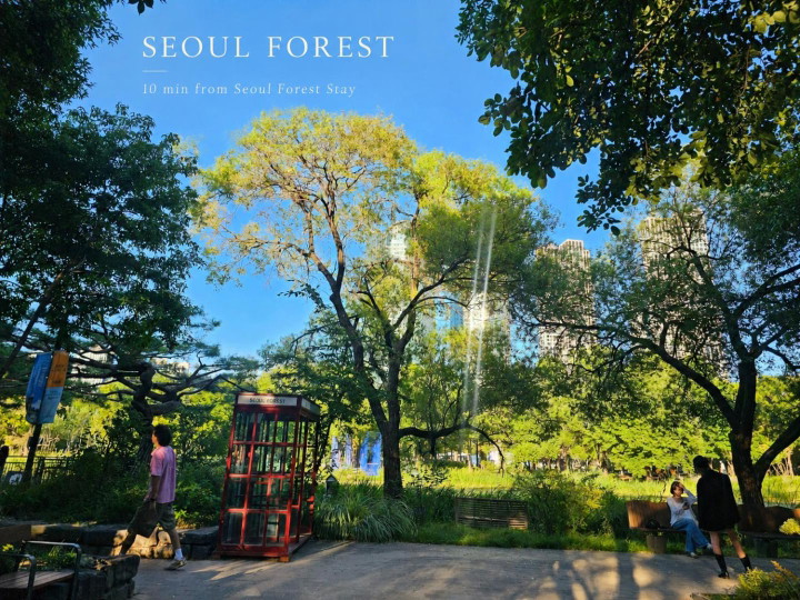 Seoul Soup Stay - Seoul