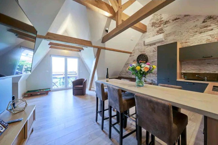 Loft Neuf Avec Bain Jacuzzi Et Terrasse - Colmar