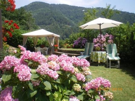 Campomaggio - Montecatini Terme