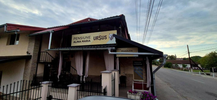 Pensiunea Alina-maria - Arad