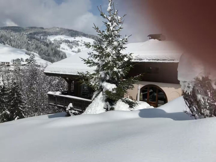 Charmant Chalet Alpin Pour Un Séjour Inoubliable - Alps