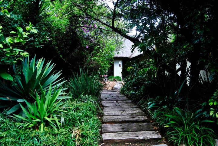 Birch Tree Cottage - Midrand