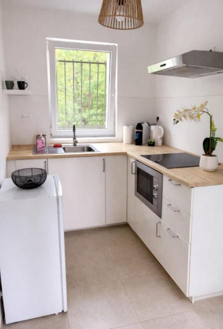 Appartement Cosy 1 Chambre Avec Sdb Et Cuisine - Tarbes