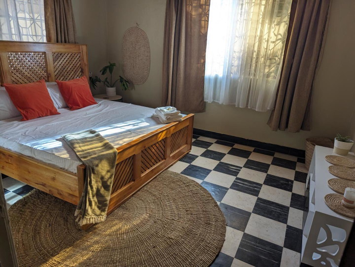 The Lion King Homestay - Tanzanie