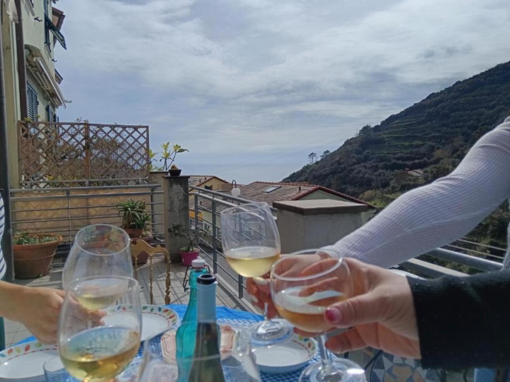 Le Terrazze Di Katia Apartment - Riomaggiore