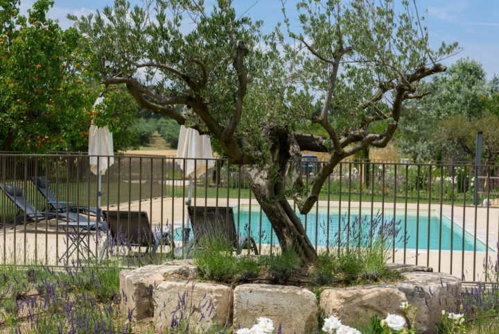 Domaine Du Mas Foucray - Camargue