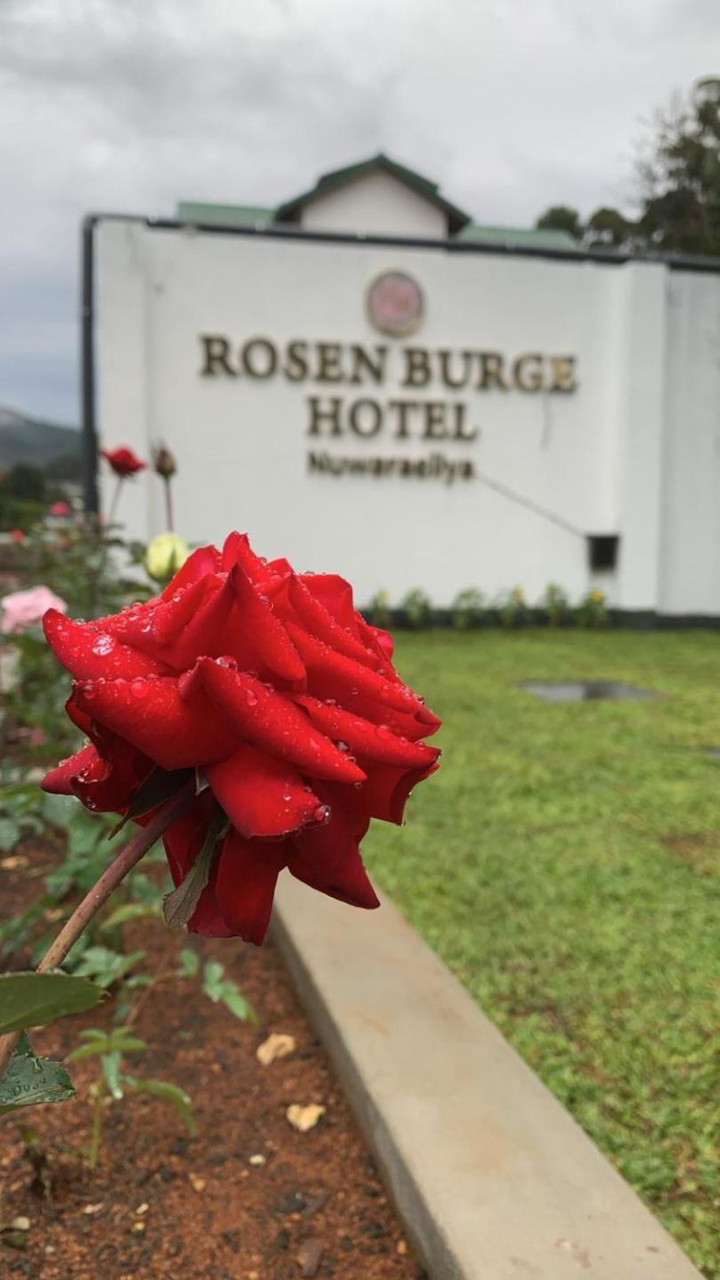 Rosen Burge Hotel Nuwaraeliya - Nuwara Eliya