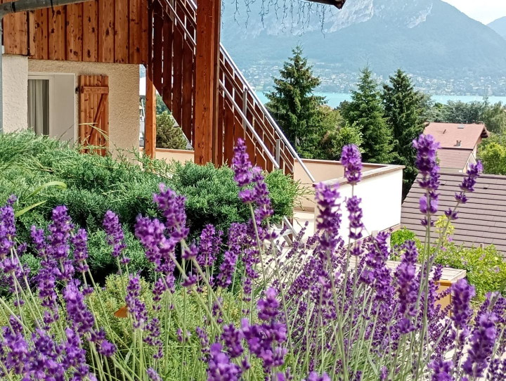 Vue Lac Lodges - Lac d'Annecy