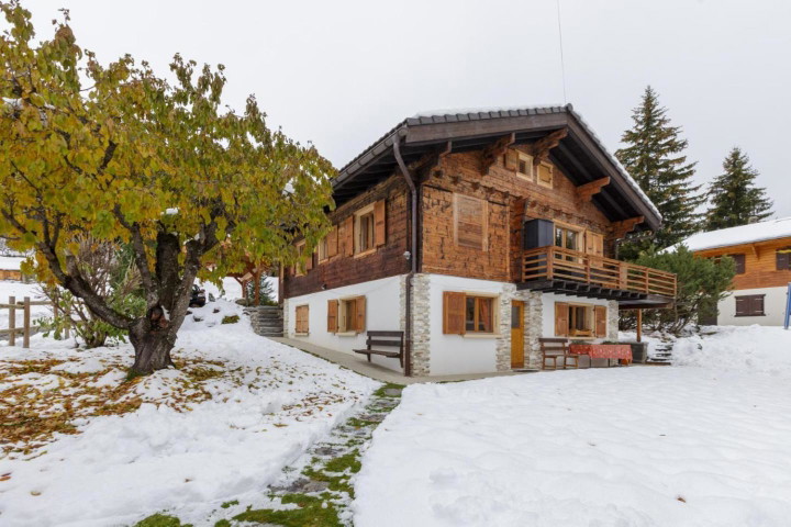 Armailli - Modern Ground Floor Apartment - Verbier