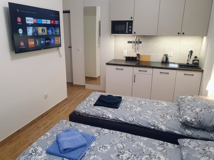 Apartamenty U Portera W ŚRódmieściu - Poland