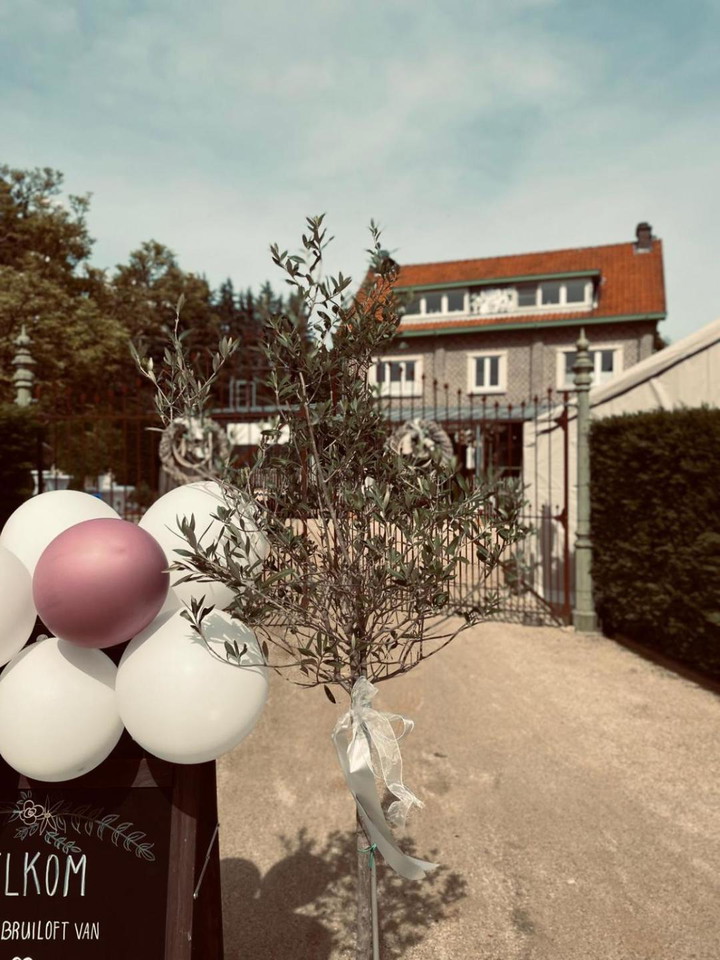 Guesthouse 'T Goed Leven - Sint-Truiden