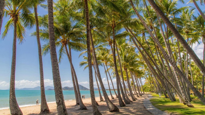 Cove Hideaway - Palm Cove - Cairns