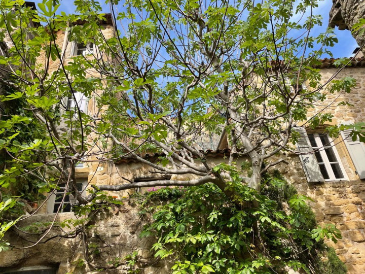 Le Petit Egregore, Patio Et Climatisation - Lourmarin