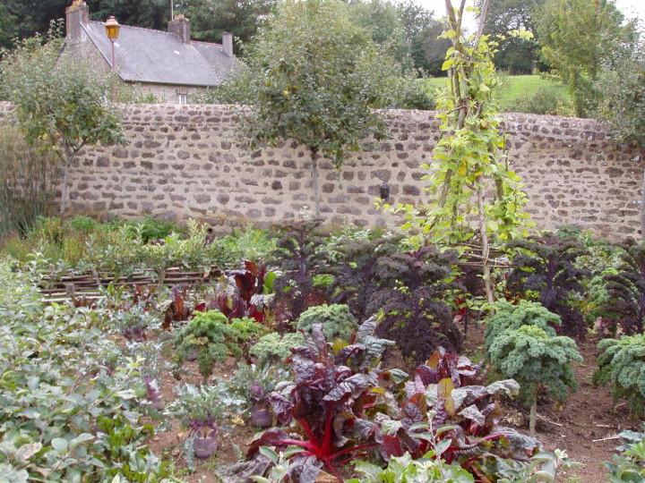 Chambres D'hotes La Belle Taille - Mayenne