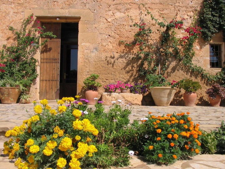 Finca Sa Cova Vella - Manacor