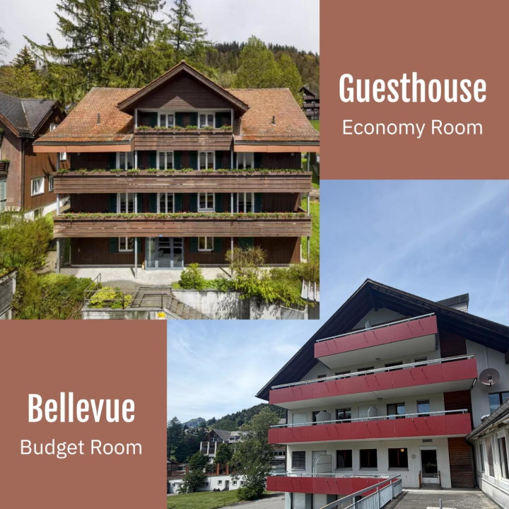 Hirschen Guesthouse - Village Hotel - Wildhaus