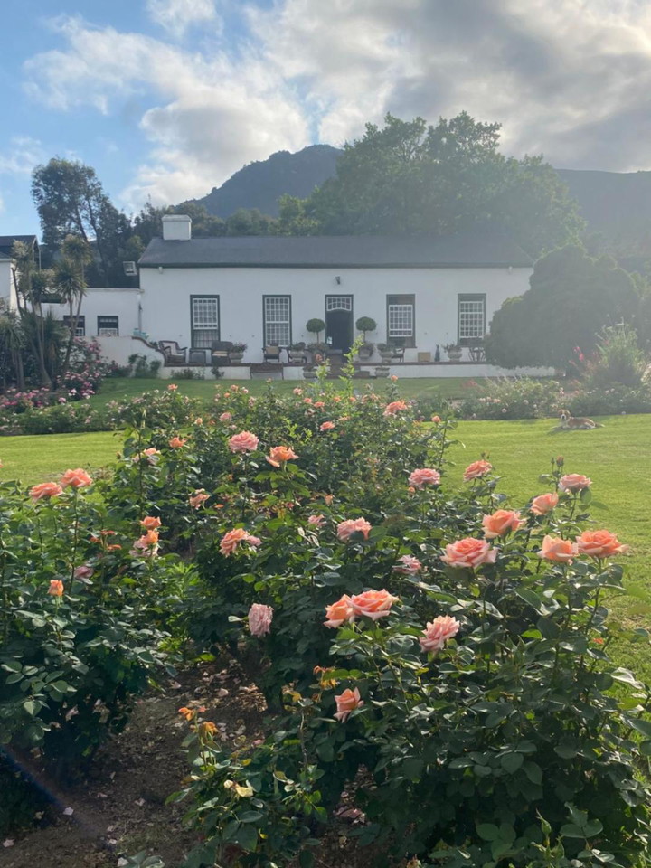 Rose Cottage Paarl South - Paarl