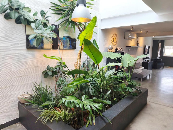 Loft Carrasketa - Onteniente