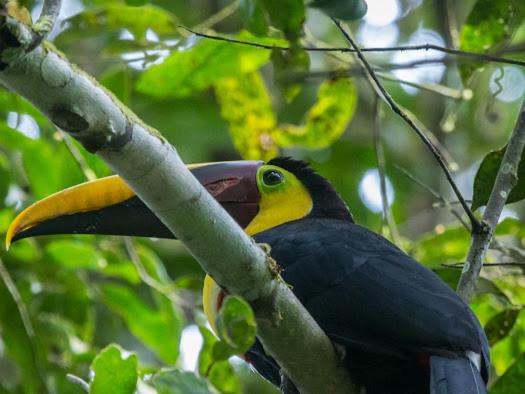 Digrú Spaa - Costa Rica