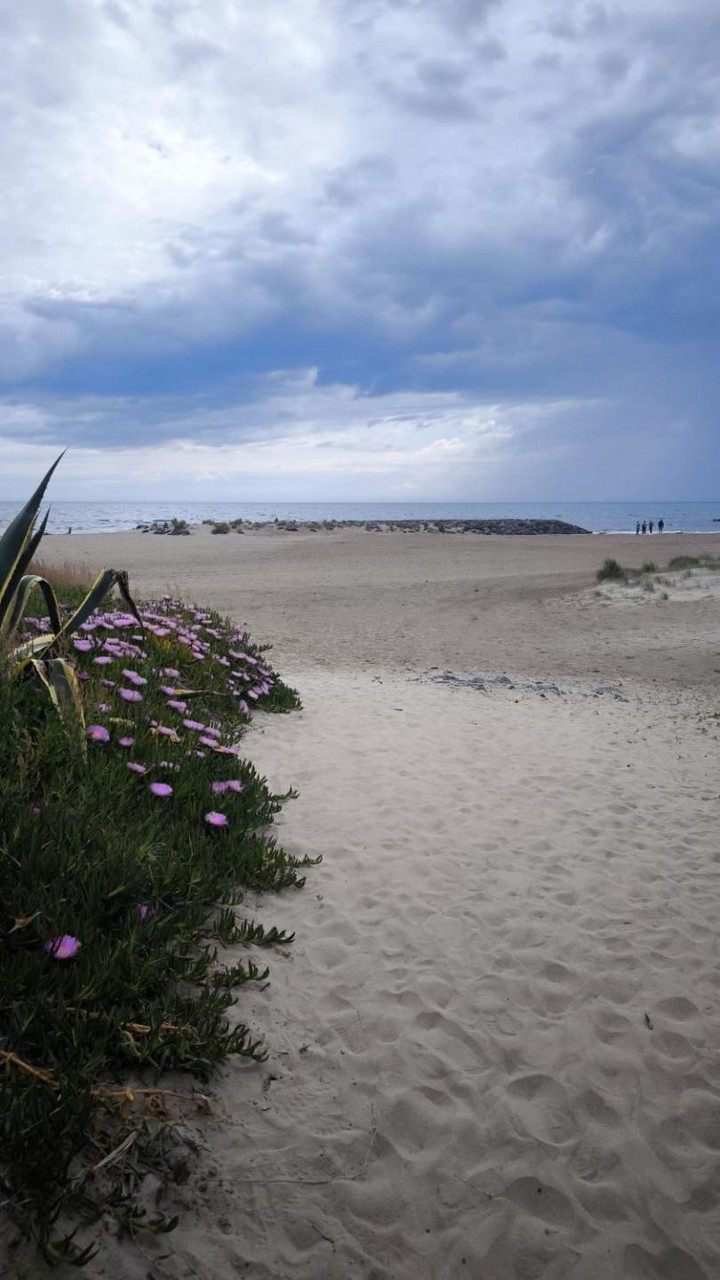 Mobil-home à 2 Pas De La Plage - Hérault