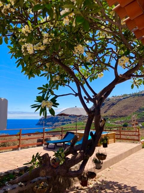 Rincón Del Mar , Espacio Natural - Tacoronte