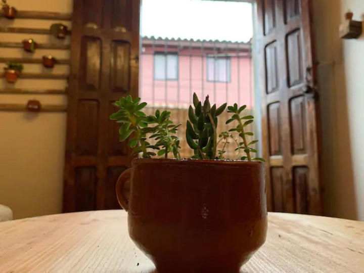 Casa Piyo - San Cristóbal de Las Casas