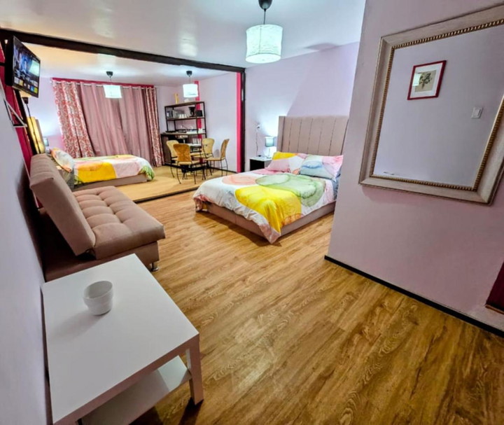 Suite Rosa Familiar Para Hasta 6 Huéspedes Amplia, Céntrica, Con Cocineta Y Baño Privado - Distrito Federal