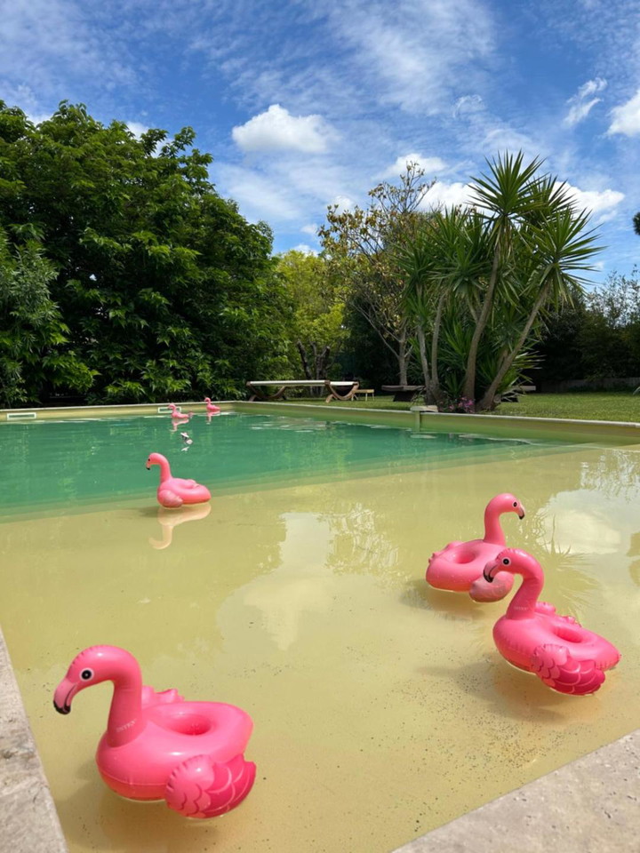Le Patio, Chambres D Hôtes Pour Adultes En Camargue, Possibilité De Naturisme à La Piscine, - Lunel