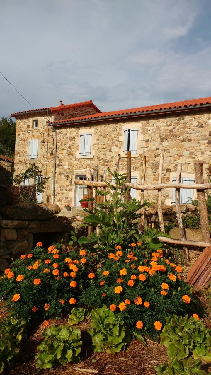 La Pierre Du Grain - Puy-de-Dôme