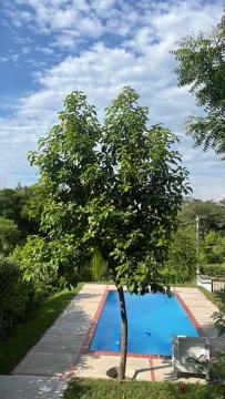 Casa Quinta Con Psicina - Carmen de Apicalá