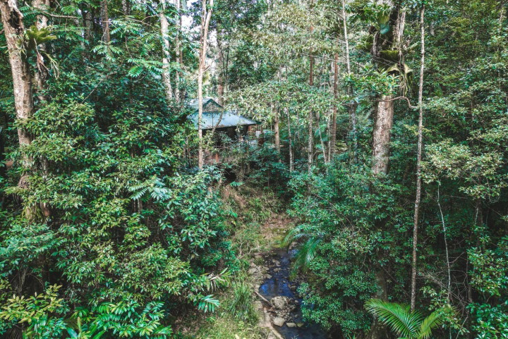 Narrows Escape Rainforest Retreat - Montville