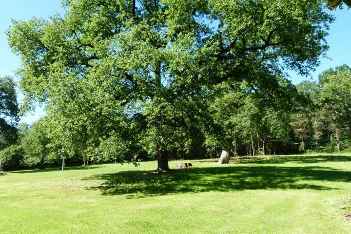 Gîte En Brenne Les Chênes - Centro