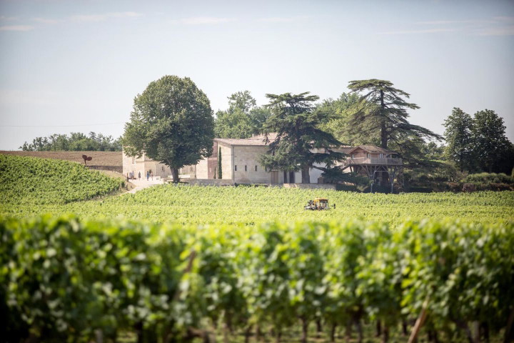 Le Relais De Franc Mayne Saint Emilion - Saint-Émilion