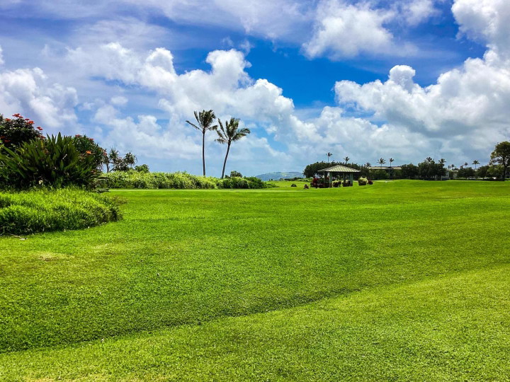 Kamahana 23 - Kauai, HI