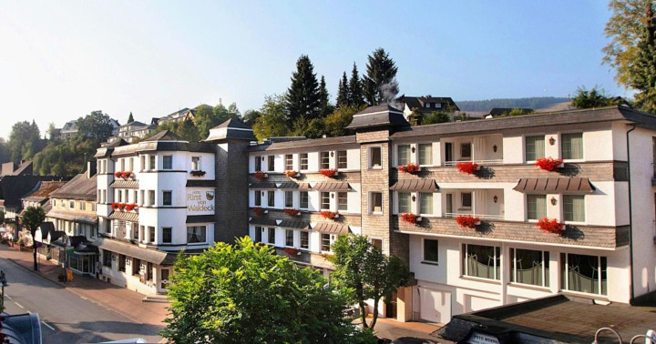 Hotel Garni Fürst Von Waldeck - Willingen