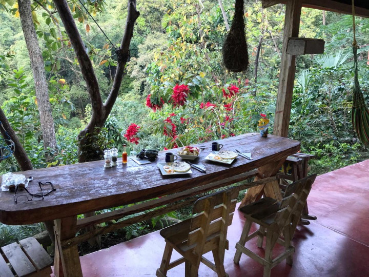 Finca San Rafael - Cafe Y Cacao - Minca